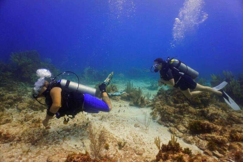 Cancun: Shipwreck and Reef Dives - The Itinerary and What You’ll Experience