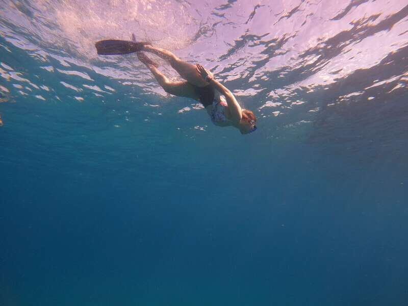 Cancun: Snorkel in MUSA Undewater Museum and Reef - The Experience: What to Expect from Start to Finish