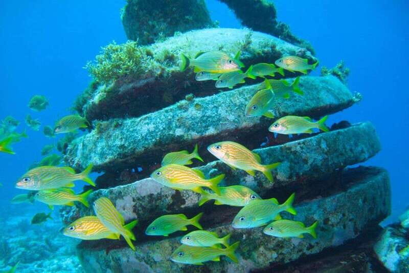 Cancun: Snorkeling at Underwater Museum & Manchones Reef - The Itinerary in Detail