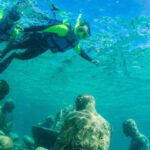 Cancun: Snorkeling Tour at MUSA The Underwater Museum - Snorkeling at the Underwater Museum: A Visual Feast