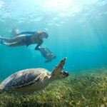 Cancun Snorkeling Tour: Swim with Turtles, Reef, Underwater Museum and Shipwreck - What’s Included and What’s Not