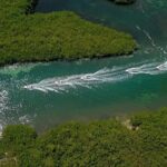 Cancun speedboat and snorkel tour: shared speedboat - Considerations and Potential Drawbacks