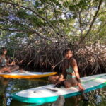 Cancun: Sunrise/Sunset Stand-Up Paddleboarding Tour - What to Expect on the Tour