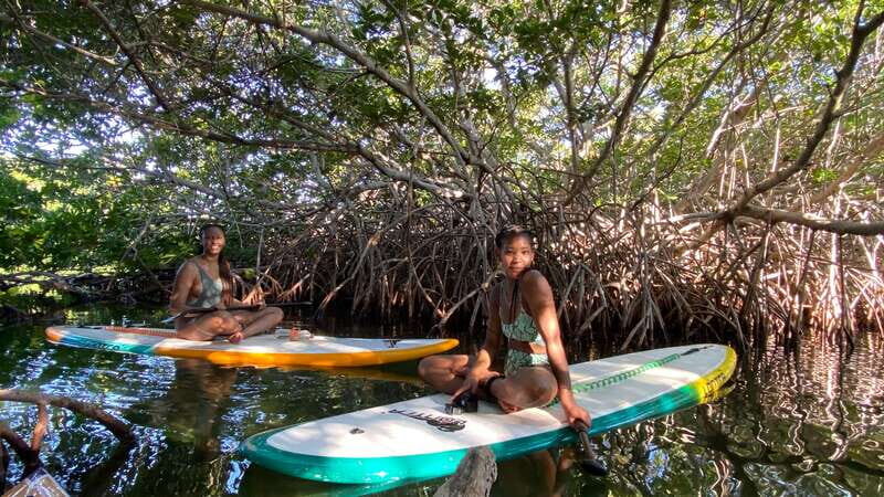 Cancun: Sunrise/Sunset Stand-Up Paddleboarding Tour - What to Expect on the Tour