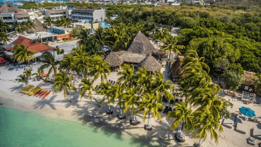 Cancún: Swim with Whale Sharks & Playa Norte Beach - Practical Details and Tips