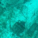 Cancun: Transparent Boat Tour with Soft Drinks - Who Will Love This Tour?