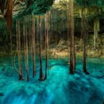 Cancun: Tropical ATV Tour with zip lines and swimming in Cenote - What Makes This Tour Stand Out?