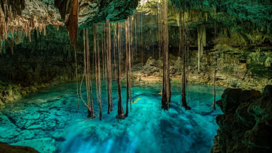 Cancun: Tropical ATV Tour with zip lines and swimming in Cenote - What Makes This Tour Stand Out?