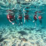 Cancun: Tulum Ruins, Akumal Turtles, Cenote & Caves Tour - Detailed Breakdown of the Itinerary