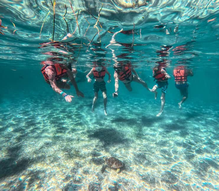 Cancun: Tulum Ruins, Akumal Turtles, Cenote & Caves Tour - Detailed Breakdown of the Itinerary