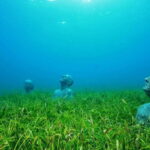 Cancún: Underwater Museum & Reef for Certified Scuba Divers - Who Will Love This Tour?