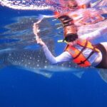 Cancun Whale Shark Experience with Snorkel & Transportation - The Itinerary in Detail