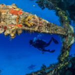 Cancún: Wreck and Reef for Certified Scuba Divers - Why This Tour Offers Real Value