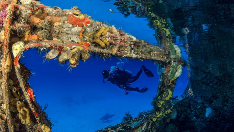 Cancún: Wreck and Reef for Certified Scuba Divers - Why This Tour Offers Real Value