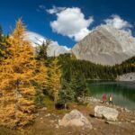 Canmore: 3 Hour Local Explorer Tour and Hike with a Guide - What to Expect During Your Hike