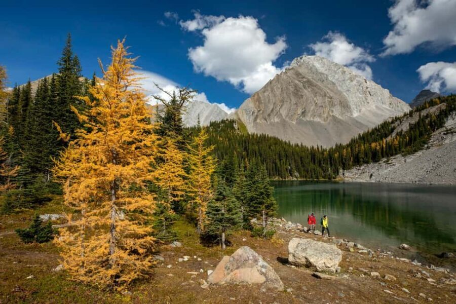 Canmore: 3 Hour Local Explorer Tour and Hike with a Guide - What to Expect During Your Hike