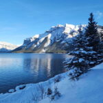 Canmore/Banff: Explore Banff & Wildlife - Why Choose This Tour? Analyzing the Value