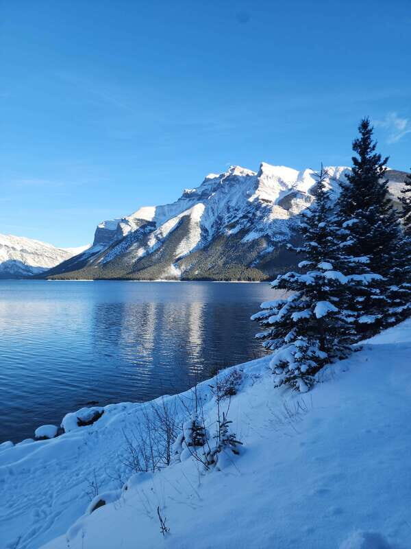 Canmore/Banff: Explore Banff & Wildlife - Why Choose This Tour? Analyzing the Value