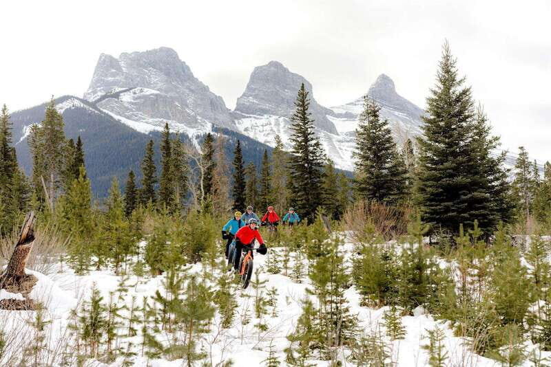 Canmore: Explore Winter Wildlife Tracks - 2hr Nature Walk - What You Can Expect from the Guided Walk
