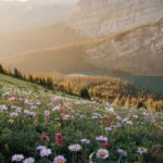 Canmore: Medicinal and Edible Plants, 2-hour Nature Walk - An In-Depth Look at the 2-Hour Nature Walk