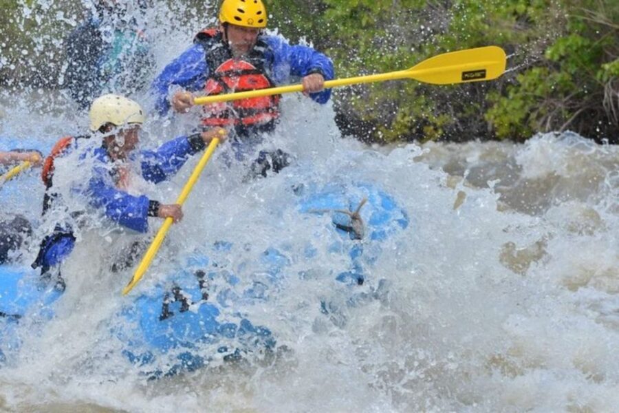 Cañon City: Half-Day Royal Gorge Whitewater Rafting Tour - The Experience Through Reviews