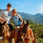 Canopy River Zipline Tour and Mule Ride - Why This Tour Offers Great Value