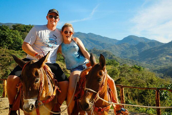 Canopy River Zipline Tour and Mule Ride - Why This Tour Offers Great Value