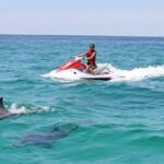 Cape Coral and Fort Myers: Wild Life Jet Ski Tour - The Value Proposition: Is It Worth It?