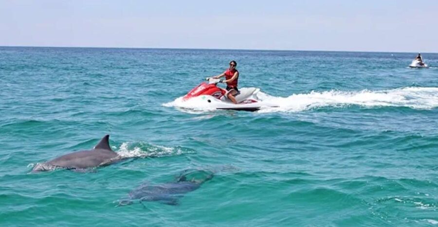Cape Coral and Fort Myers: Wild Life Jet Ski Tour - The Value Proposition: Is It Worth It?