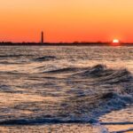 Cape May: Sunset Dolphin Cruise with Optional Wine Tastings - Wildlife Watching: Dolphins in Their Natural Habitat