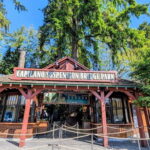 Capilano Br+Granville Isl+Capilano Hatchery+Lynn Canyon Tour - Who Should Consider This Tour?