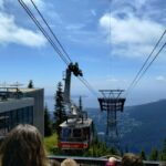 Capilano Br+Grouse Mtn+Dam+Lake&Hatcher/5in1/Small Group/Car - The Experience of Traveling in a Luxury Car