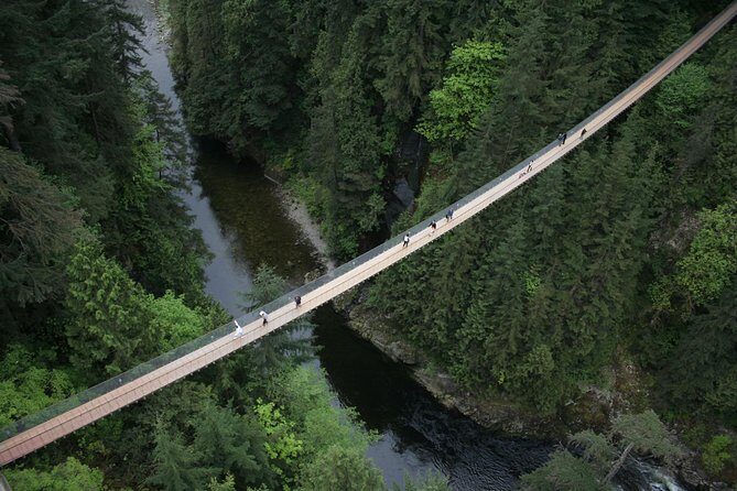 Capilano Suspension Bridge Park Ticket - Practical Details and Tips