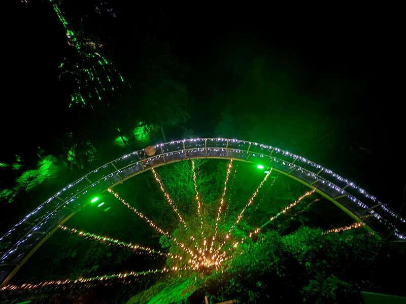 Capilano Suspension Bridge/Private/Small Group/By LUX CAR - The Final Stops: Scenic Drive and Iconic Landmarks