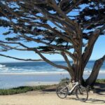Carmel-By-The-Sea Electric Bike Guided Tour - Who Will Love This Tour?