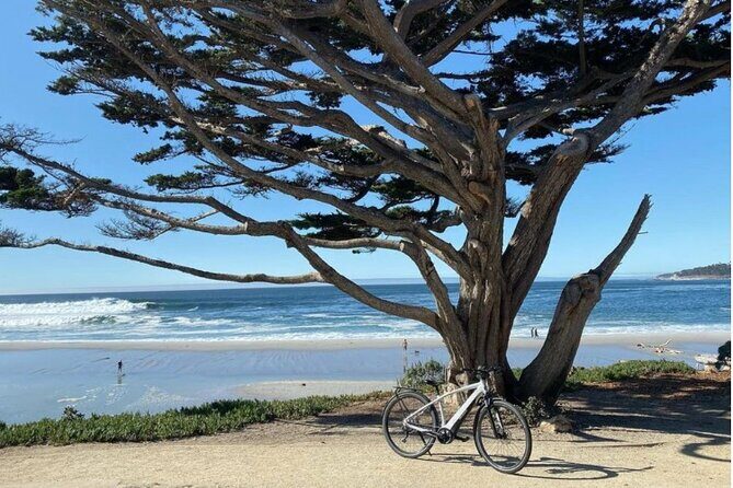Carmel-By-The-Sea Electric Bike Guided Tour - Who Will Love This Tour?