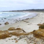Carmel Drive Tour - Why This Tour Provides Great Value
