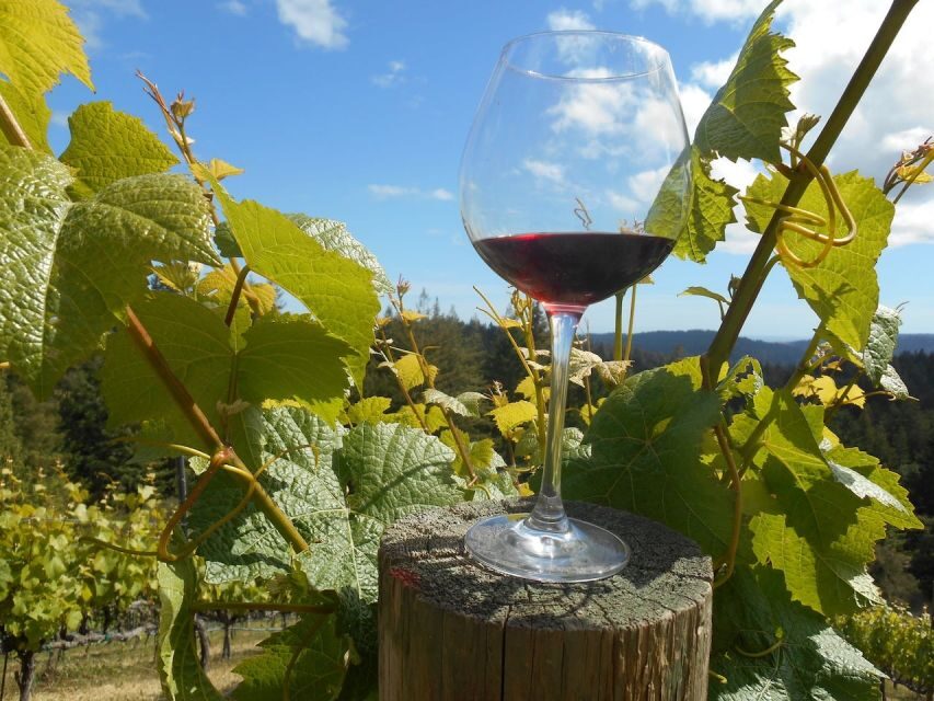Carmel Valley Wine Tasting Tour - Authentic Experiences and Real Feedback