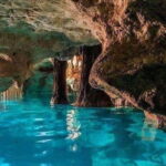 Casa Tortuga Park: Cenote Tour - What to Expect from the Cenote Tour