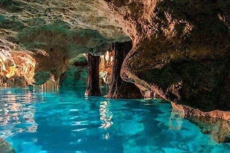 Casa Tortuga Park: Cenote Tour - What to Expect from the Cenote Tour