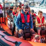 Cascais: Dolphin Watching Tour - What to Expect on the Dolphin Watching Tour