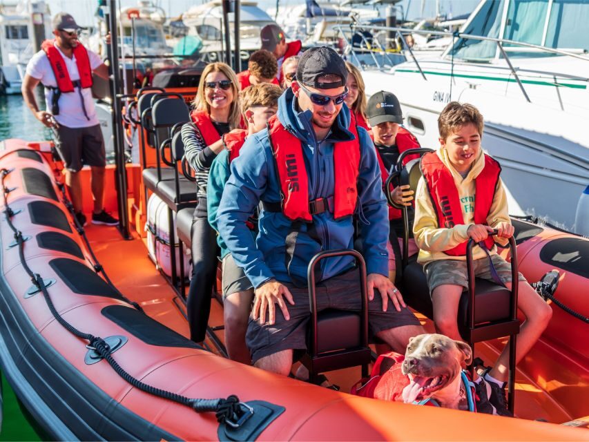 Cascais: Dolphin Watching Tour - What to Expect on the Dolphin Watching Tour