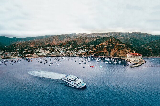 Catalina Express: Avalon to San Pedro One-Way Ferry - Final Thoughts