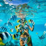 Catalina Island Full-Day Snorkeling + Lunch from Punta Cana - What We Can Learn from the Reviews