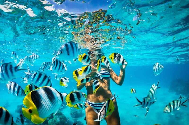 Catalina Island Full-Day Snorkeling + Lunch from Punta Cana - What We Can Learn from the Reviews