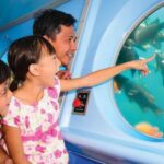 Catalina Island: Yellow Semi-Submarine Cruise - The Value for Money