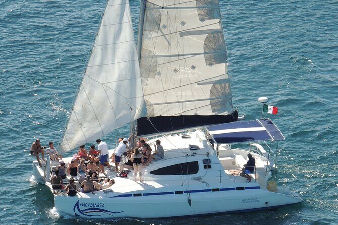 Catamaran to Isla Mujeres: Snorkel MUSA, Playa Norte & Buffet - Who Will Appreciate This Experience Most?
