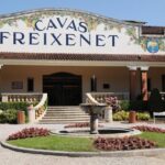 Cavas Freixenet Wine Tour from Mexico City - Detailed Itinerary Breakdown