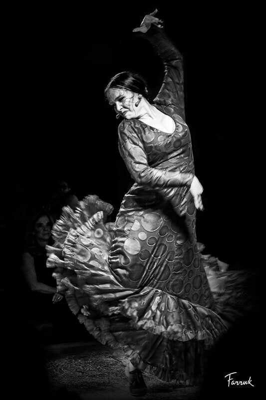 CDMX: Live Flamenco Show and Dinner - Breaking Down the Experience