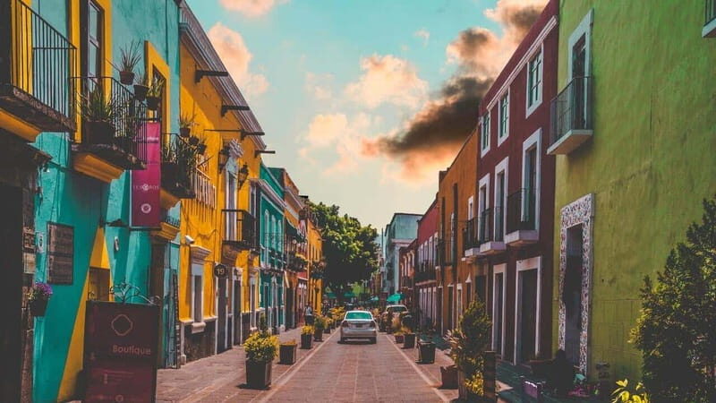CDMX: Neighborhoods Contrasts Private Tour - Transport, Guides, and Overall Value